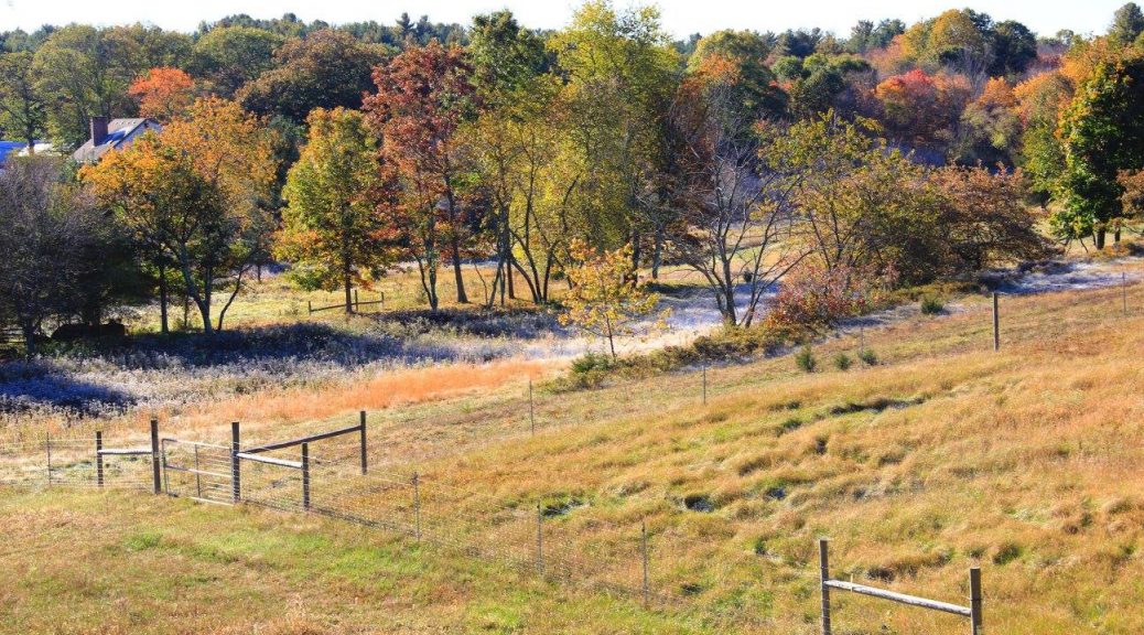 SNETT Archives - Franklin & Bellingham Rail Trail Committee