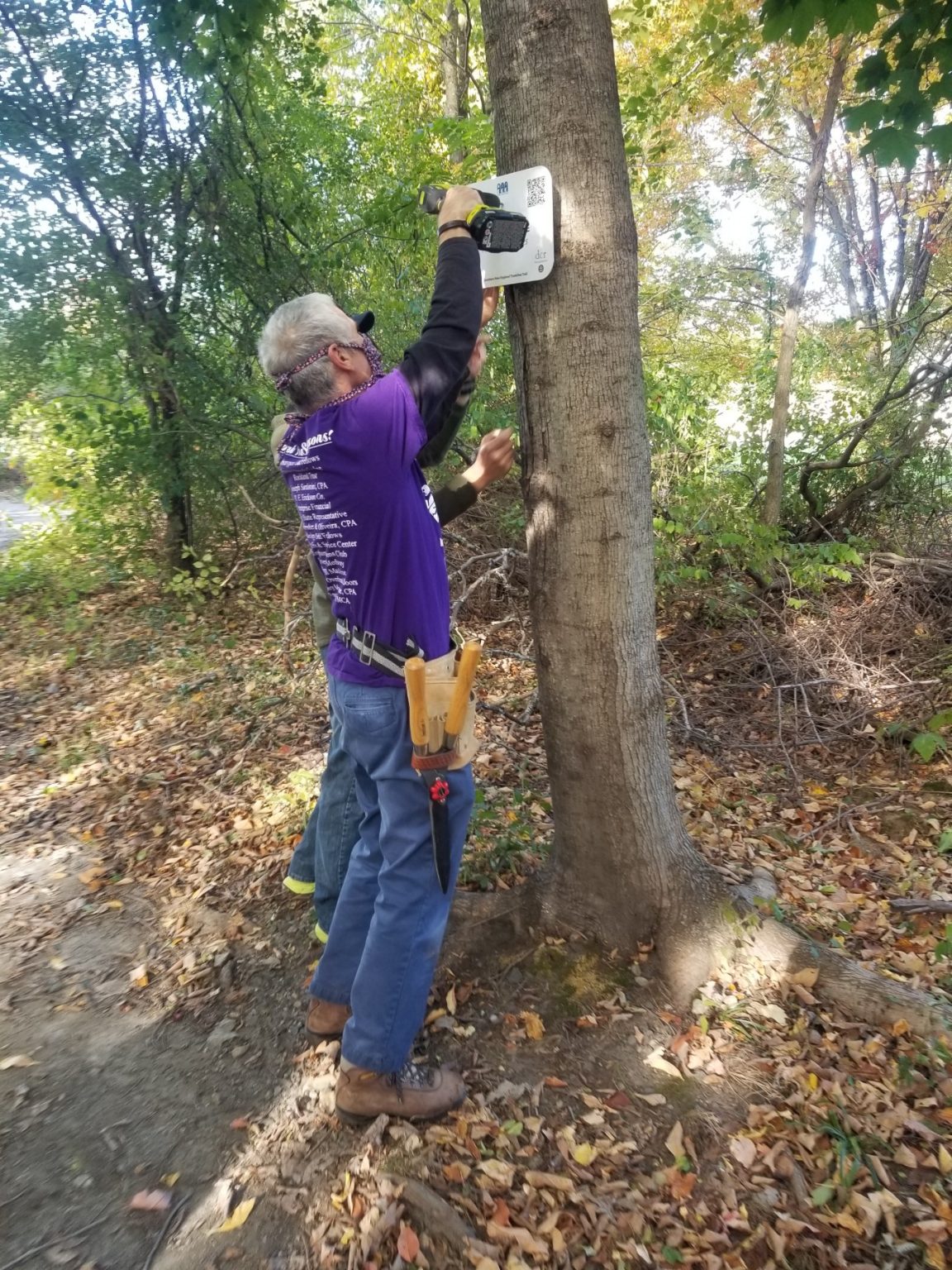 Tree Signage Installed! - Franklin & Bellingham Rail Trail Committee